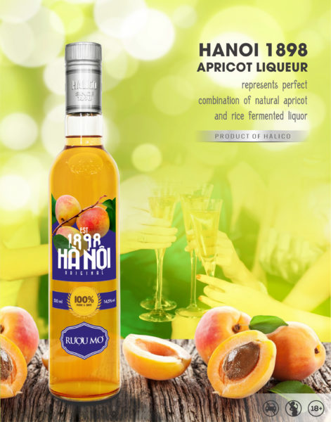 HANOI 1898 APRICOT LIQUEUR - Halico